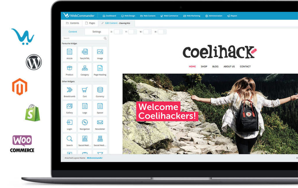 Website Design | Top Web Designers in Australia | WebAlive