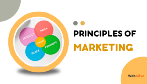 The 7 Principles of Marketing Explained | WebAlive